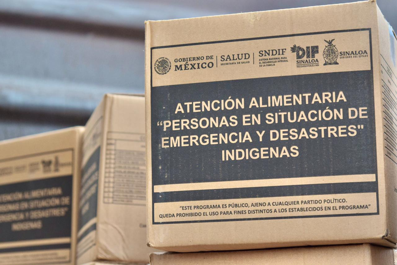 DIF El Fuerte entrega más de mil 700 despensas alimenticias en ...