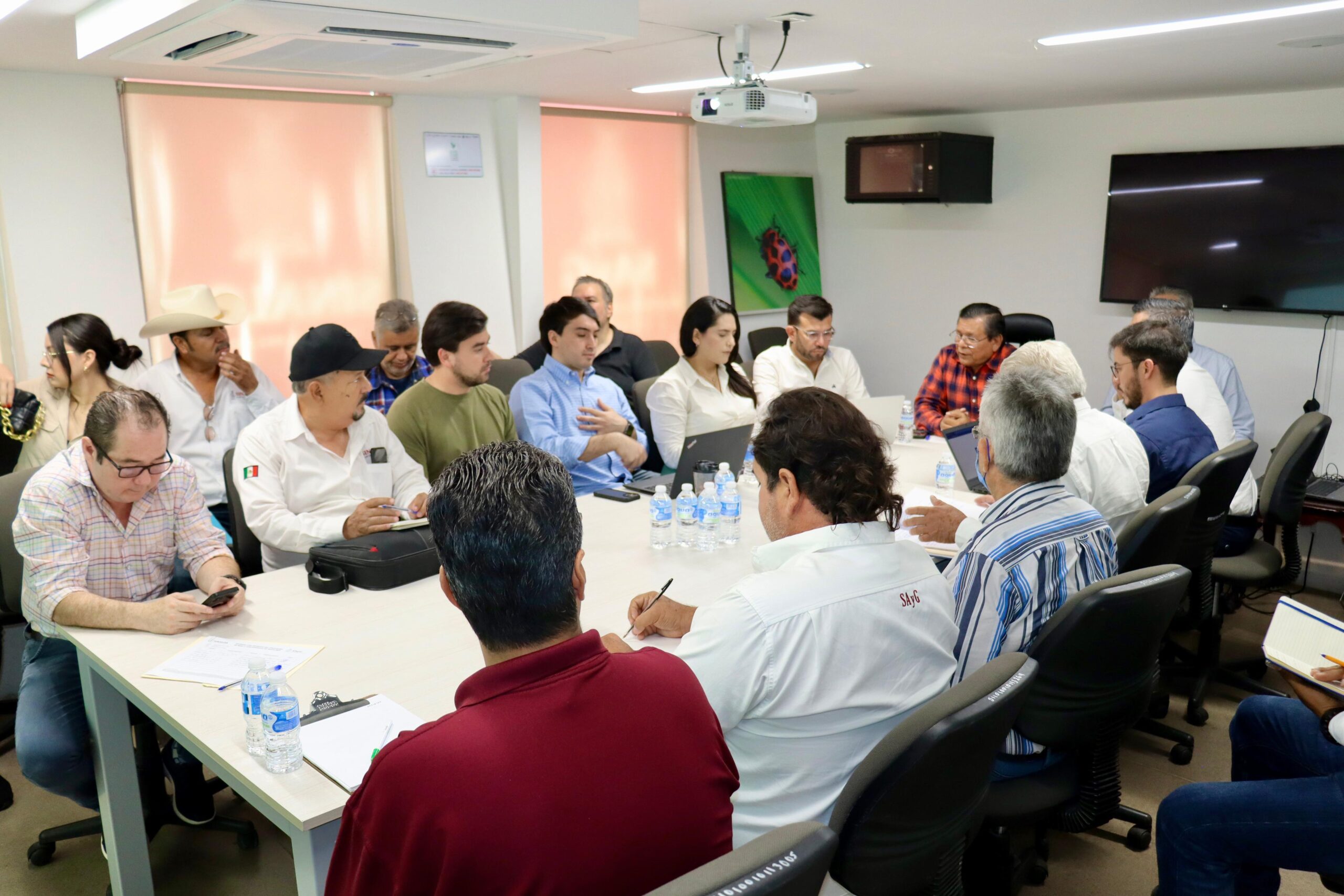 «Convoca SAyG a productores de maíz a pre-registrarse ante SEGALMEX en ...